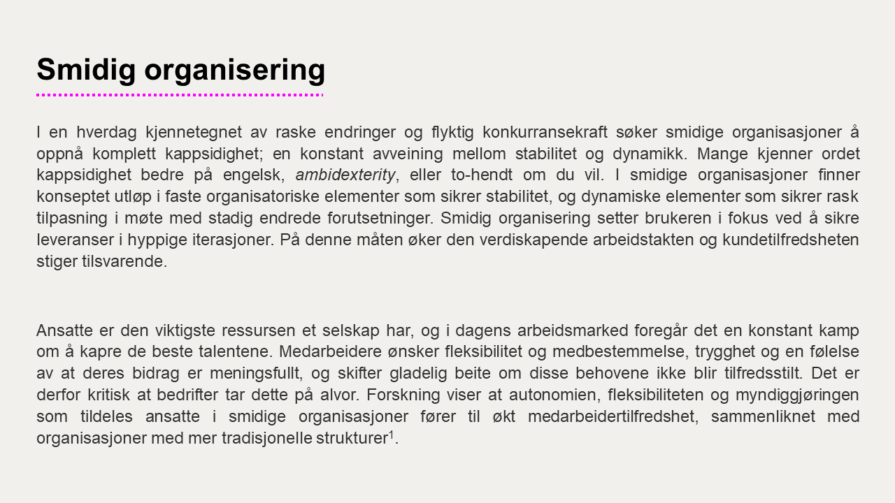 Nyansatt i en smidig organisasjon